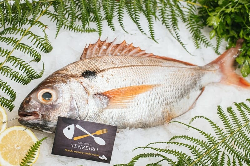 Besugo - Tienda - Pescadería Tenreiro